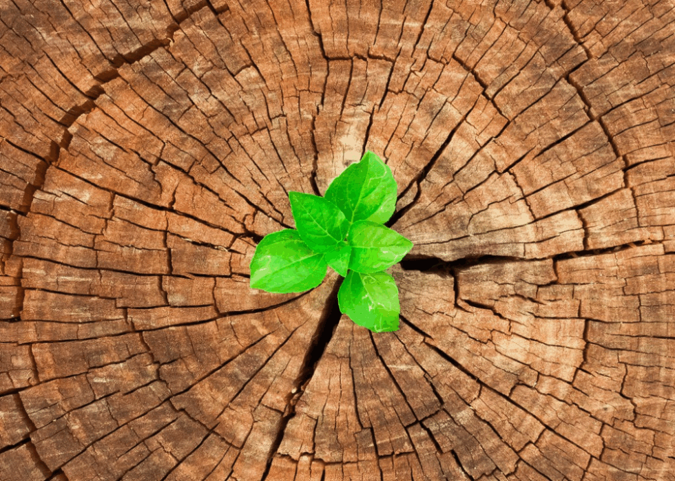 Circular Economy Leadership Canada Welcomes The Charity Hub as a New ...